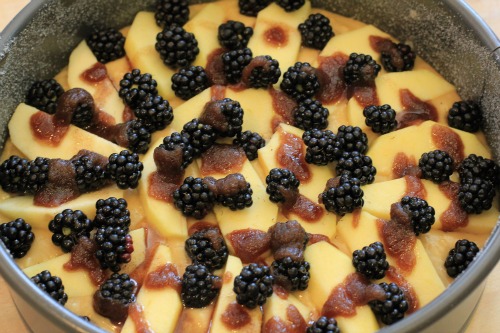 Blackberry Recipes | Blackberry Apple Cake - One Hundred Dollars a Month