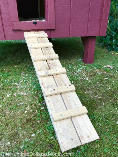 The HH Builds a Chicken Coop for Lucy's Babies - One Hundred Dollars a ...