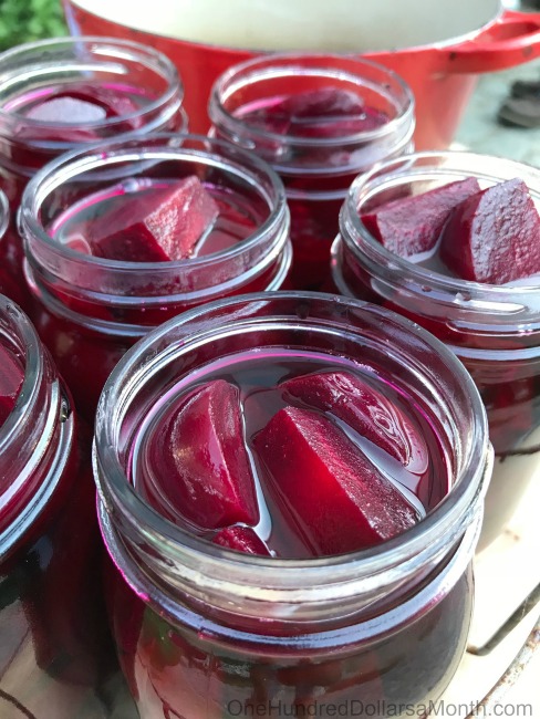 Canning Recipe for Old Fashioned Pickled Beets {No Funky Spices!} - One ...