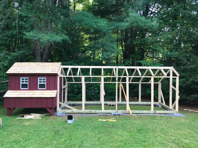 large covered cedar shake chicken coop run - One Hundred Dollars a Month