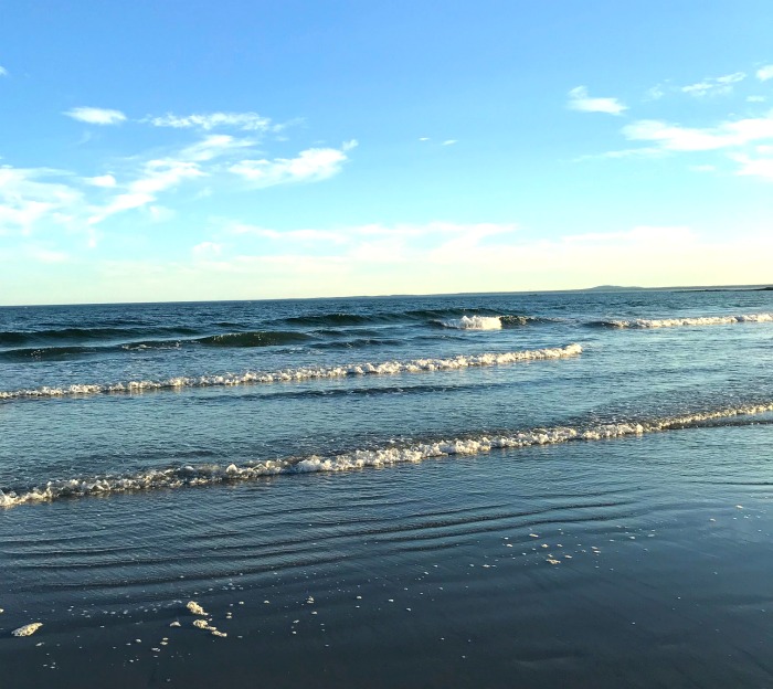 One Hundred Dollars a Month - Page 28 of 2298 - I am your typical ...