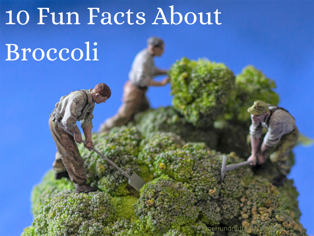 10 Fun Facts About Broccoli - One Hundred Dollars a Month