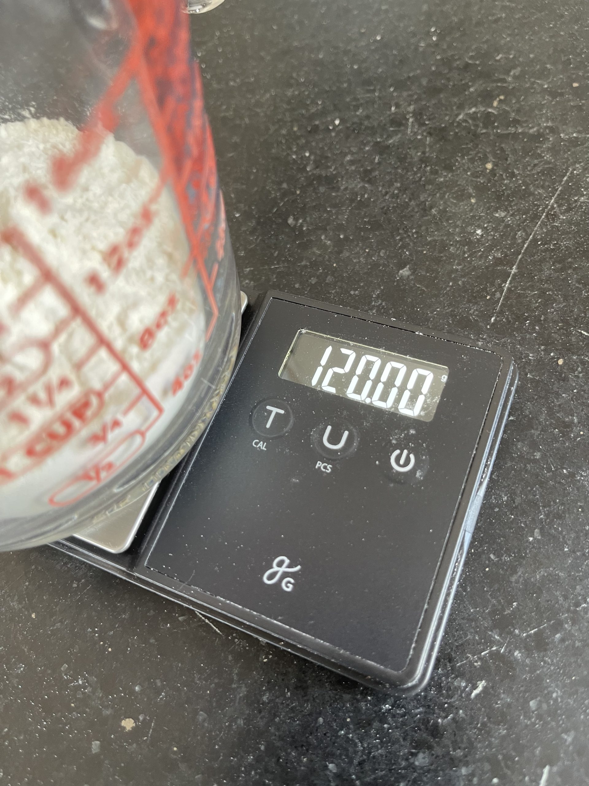 gram scale - One Hundred Dollars a Month