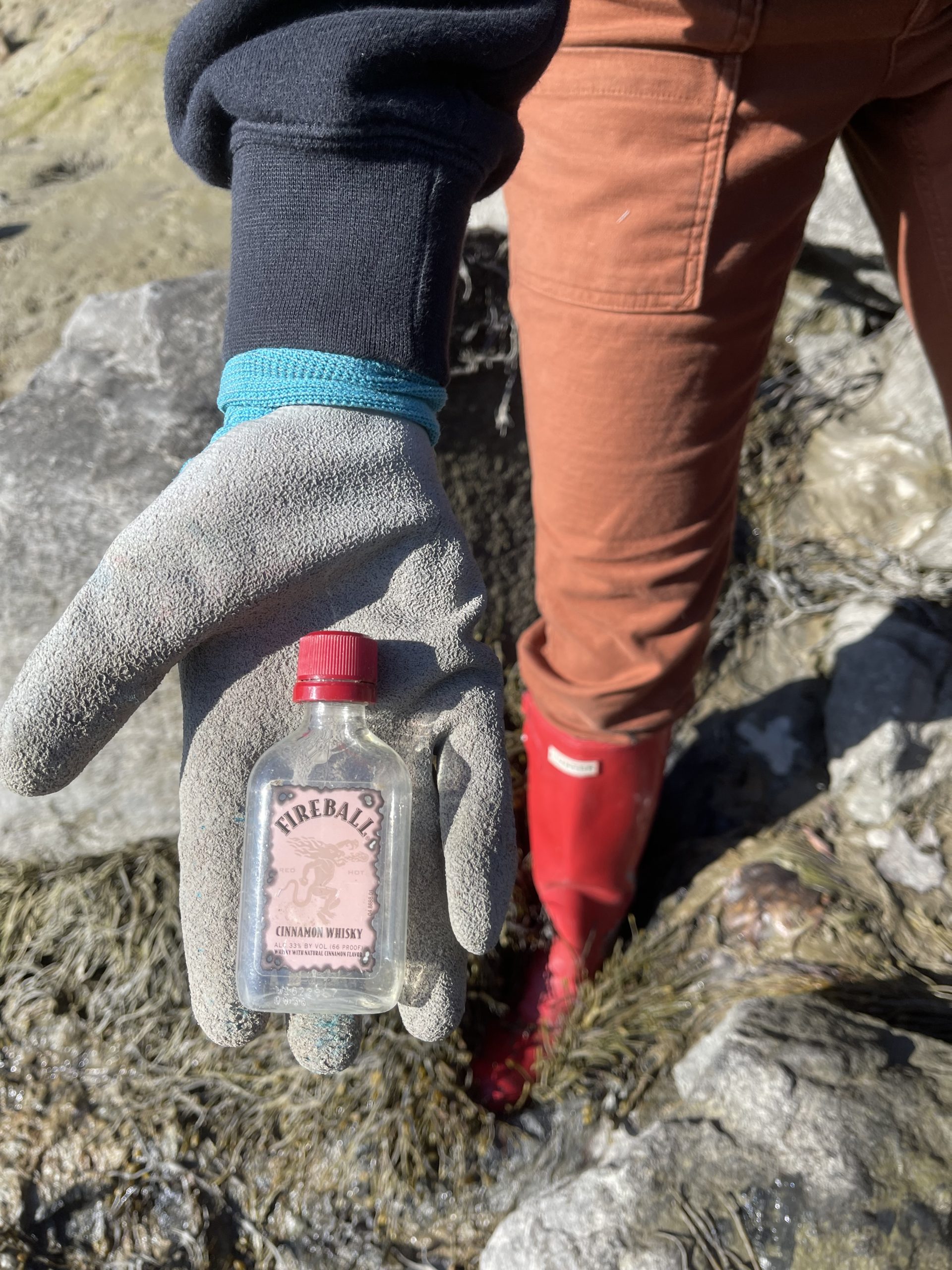 fireball container - One Hundred Dollars a Month