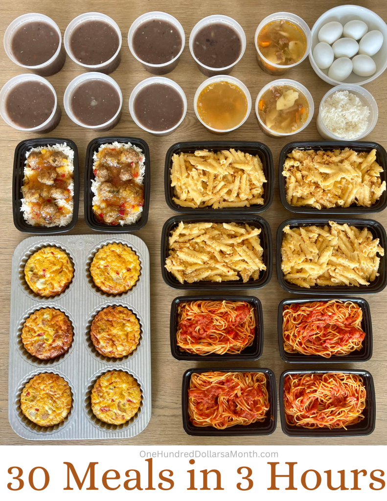 30 Meals in 3 Hours - One Hundred Dollars a Month